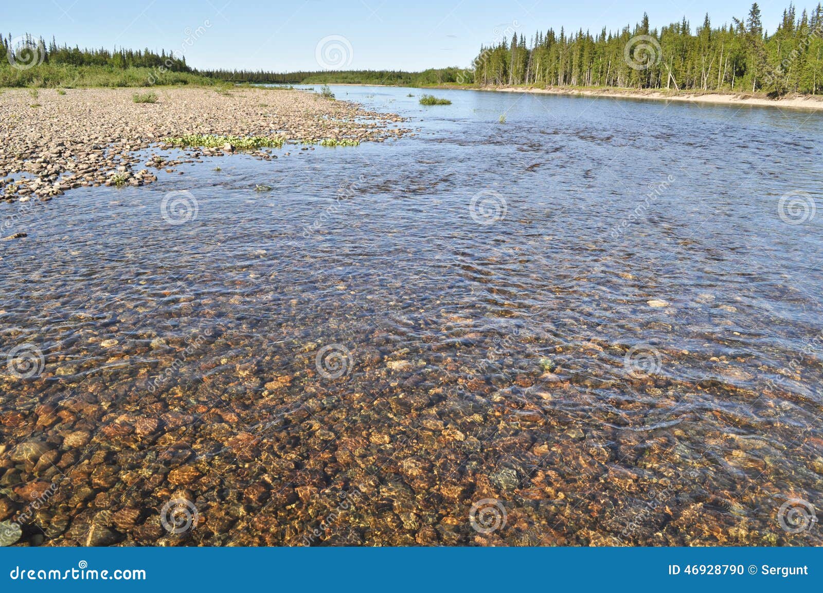 Pebble river bed. stock photo. Image of nature, water - 46928790