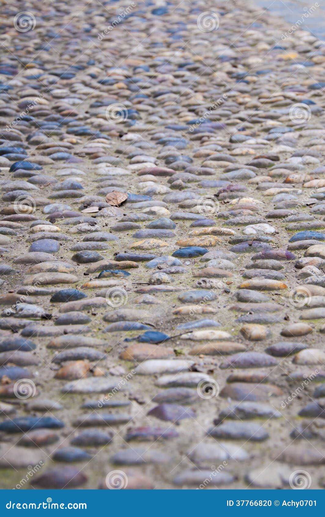 Pebble road stock photo. Image of park, stone, path, walk - 37766820