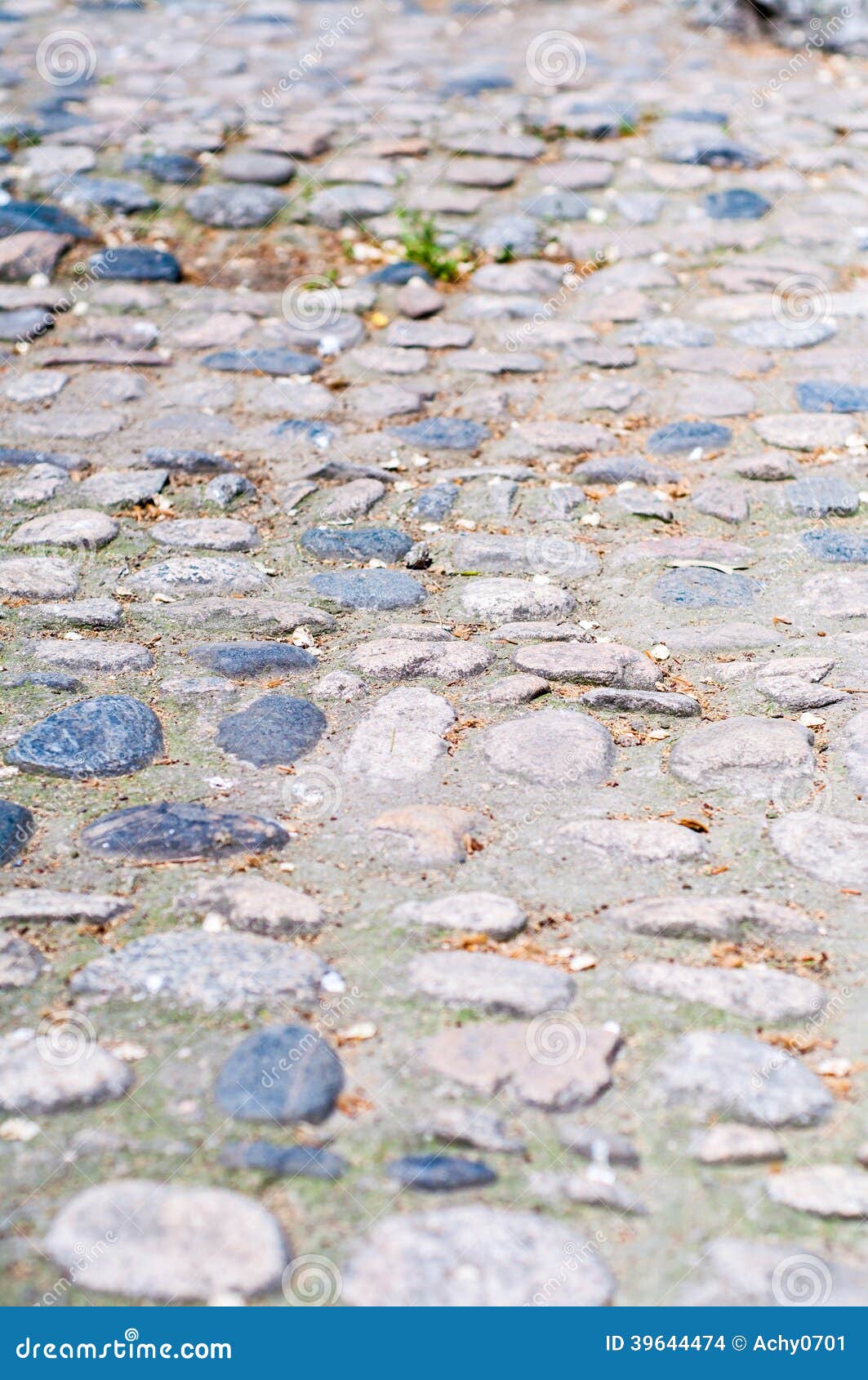 Pebble road stock photo. Image of path, road, leaves - 39644474