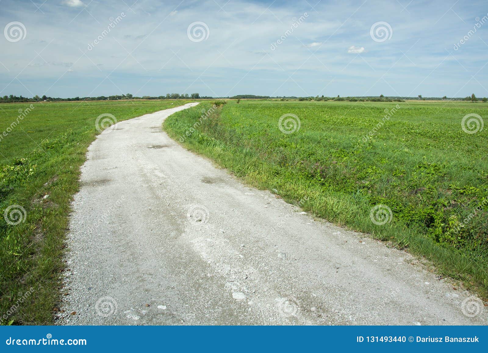 Pebble Road on a Green Meadow Stock Photo - Image of environment ...
