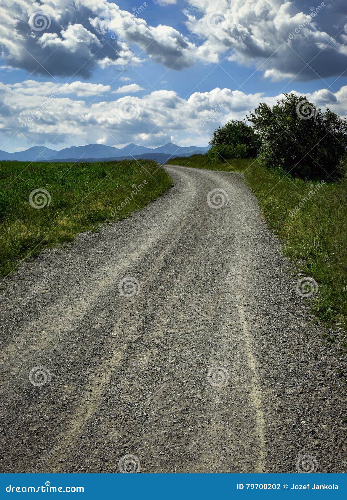 Pebble Road Texture Stock Photography | CartoonDealer.com #88640810