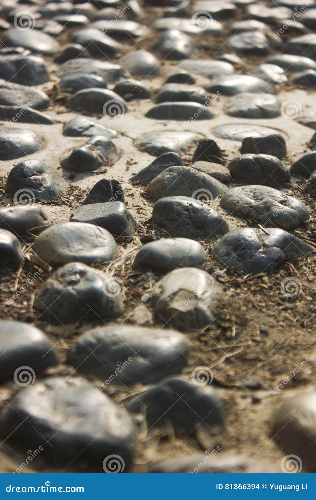 Pebble road Stone stock photo. Image of closeups, floor - 81866394