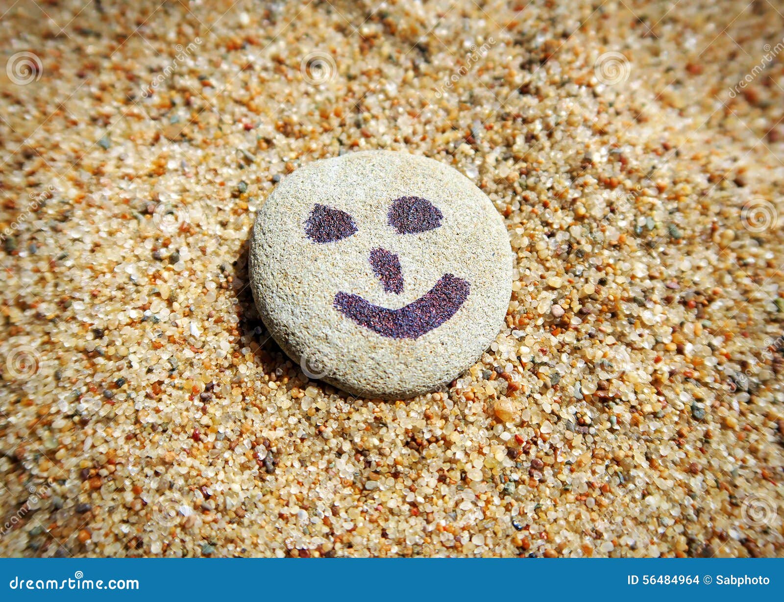 Pebble on the Seashore stock photo. Image of funny, natural - 56484964