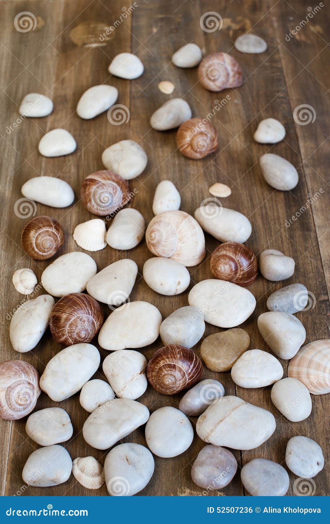 Pebble and Shells on the Wooden Background Stock Photo - Image of ...