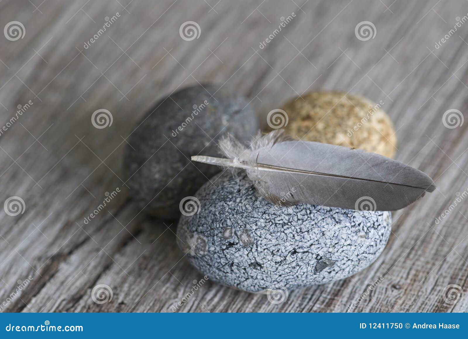 Pebble still life stock photo. Image of pebble, feather - 12411750