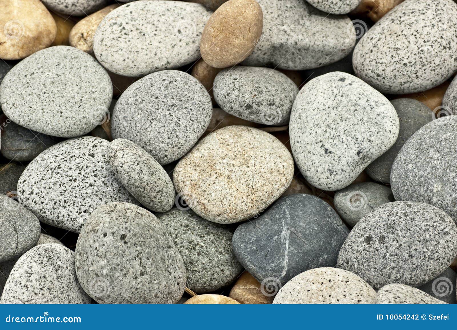 Pebble stone stock photo. Image of life, closeup, garden - 10054242