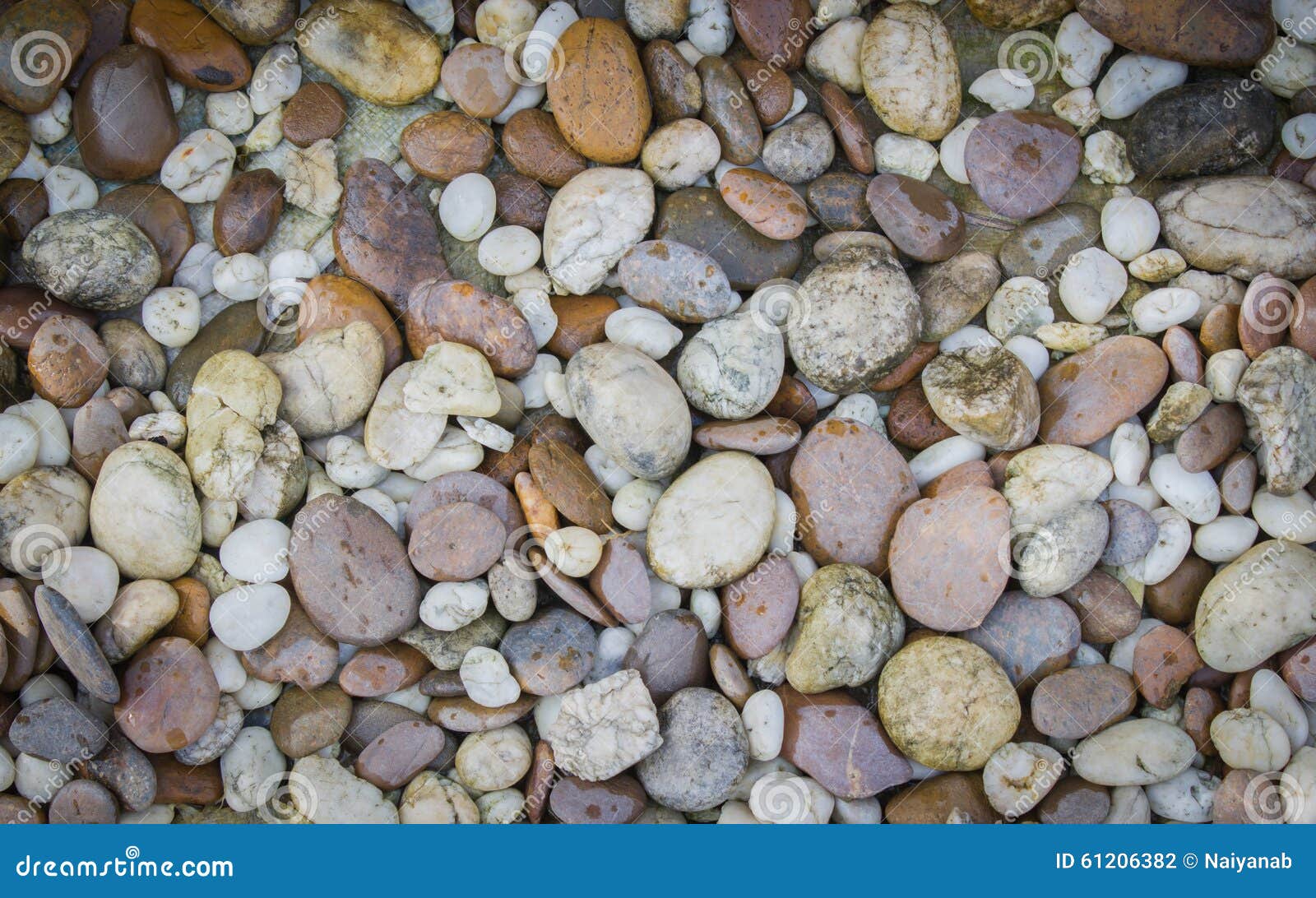 Pebble stone stock photo. Image of rock, material, wallpaper - 61206382