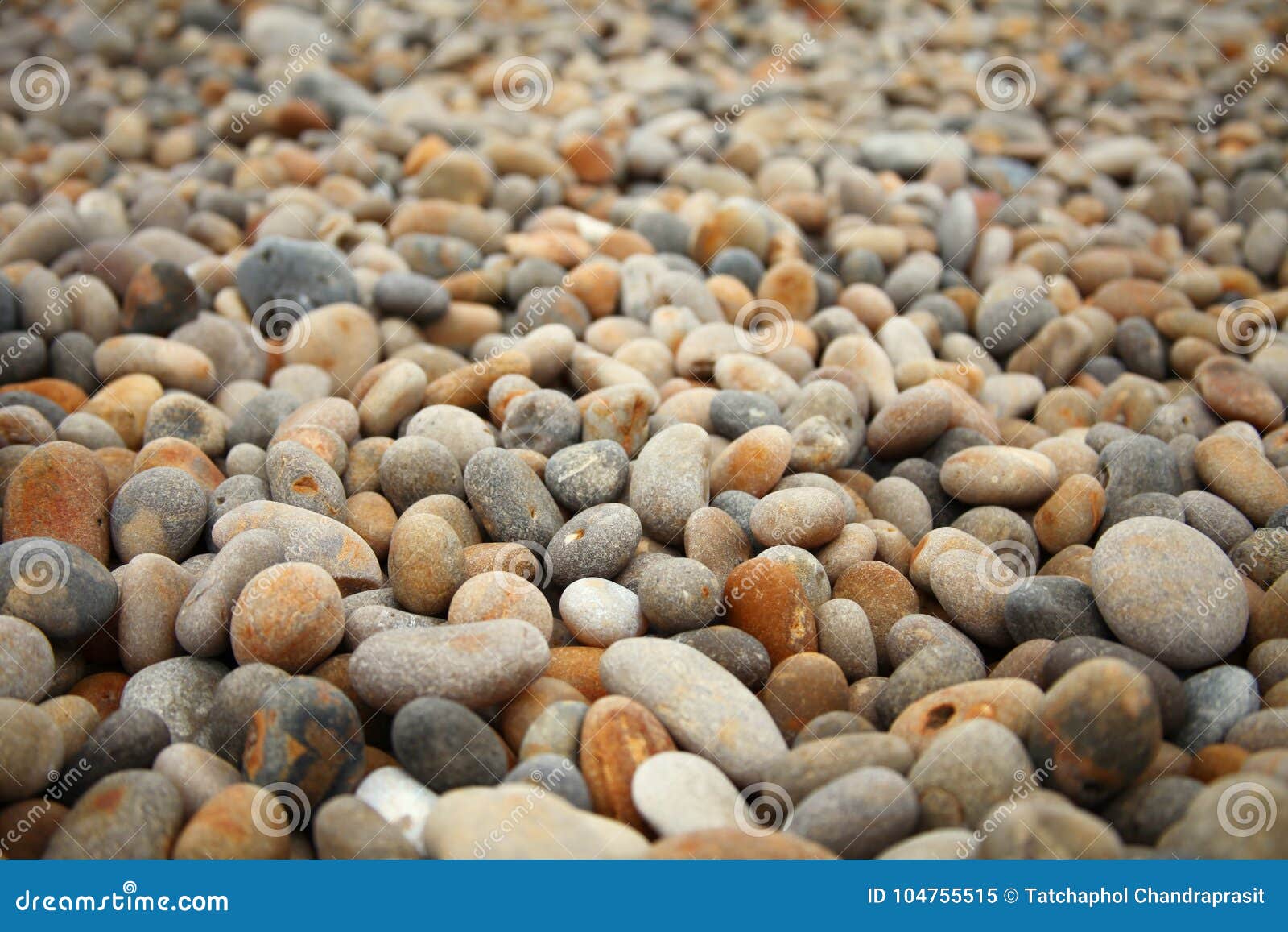 Pebble stone beach. stock image. Image of landscape - 104755515