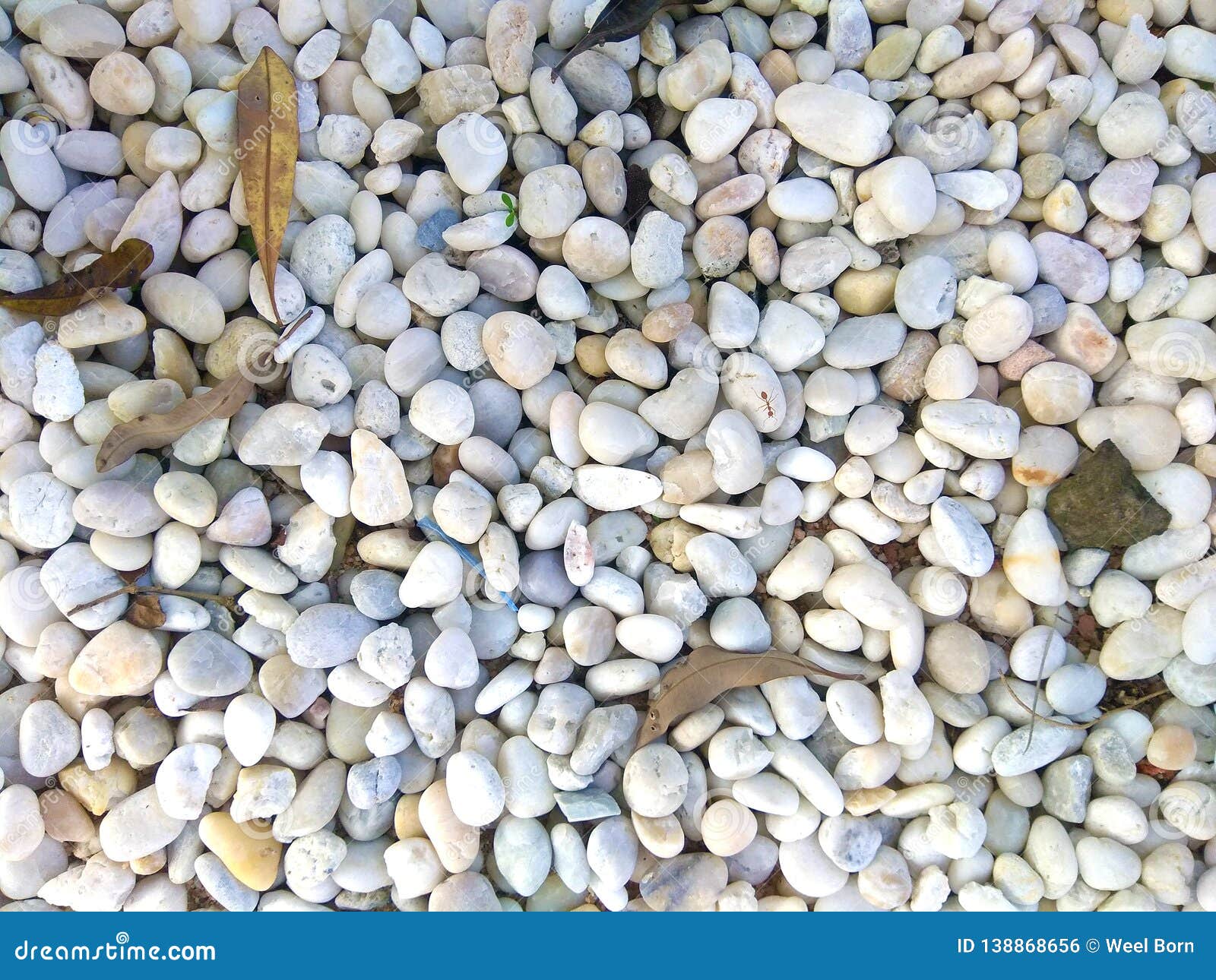 Pebble stone floor texture stock illustration. Illustration of formica ...