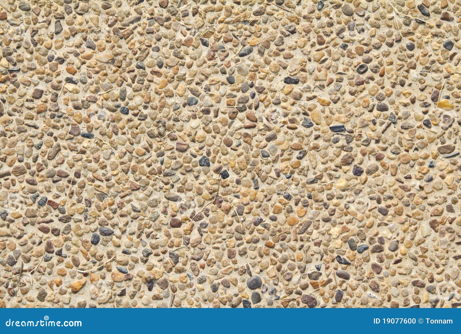 Pebble stone texture. stock photo. Image of grunge, horizontal - 19077600
