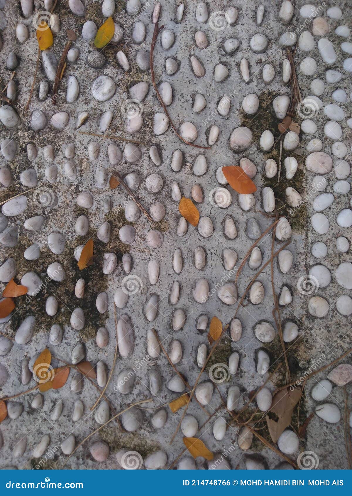 Pebble Stone Texture in the Garden Stock Photo - Image of geology, soil ...