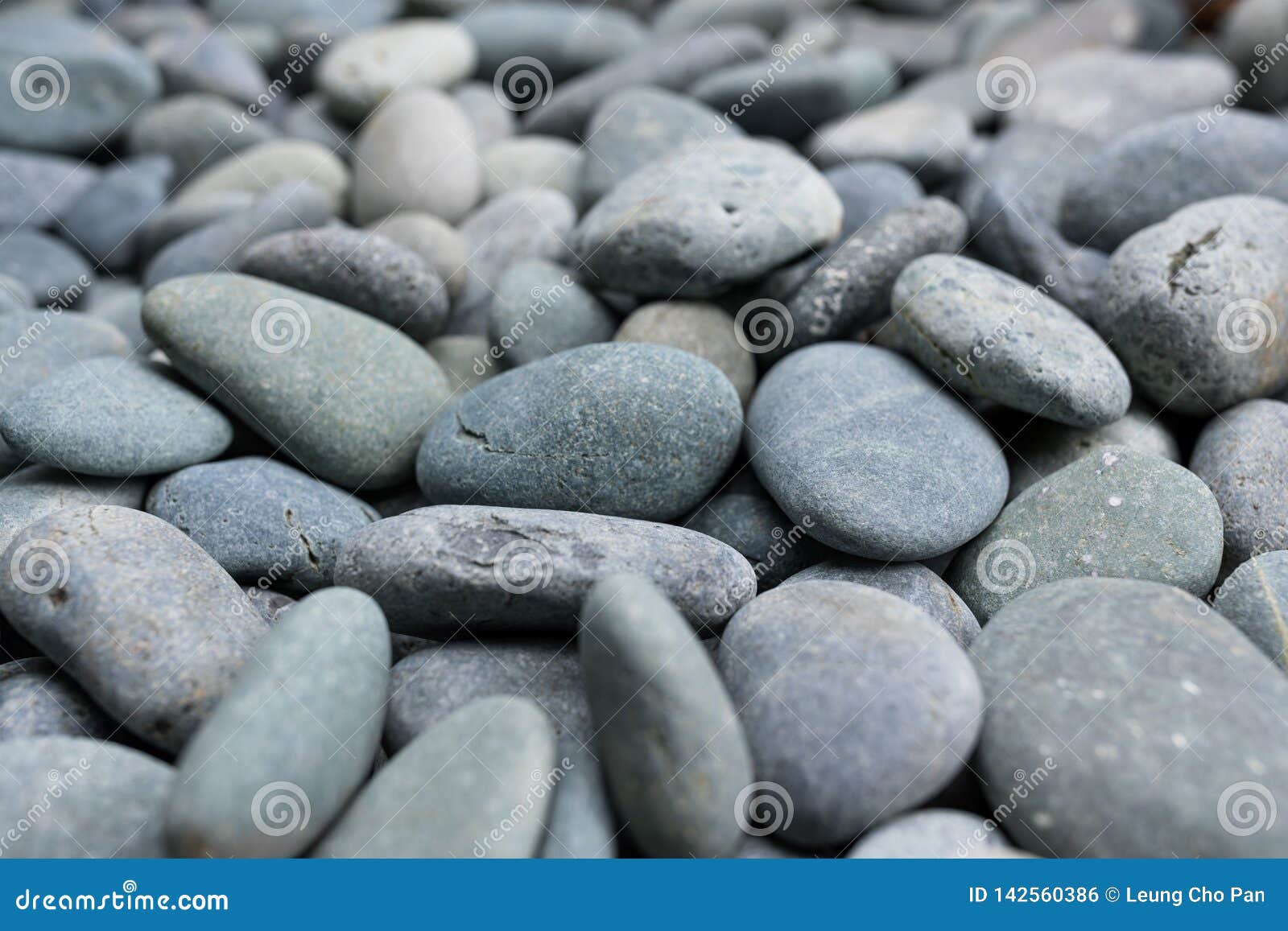 Pebble stone texture stock photo. Image of detail, shape - 142560386