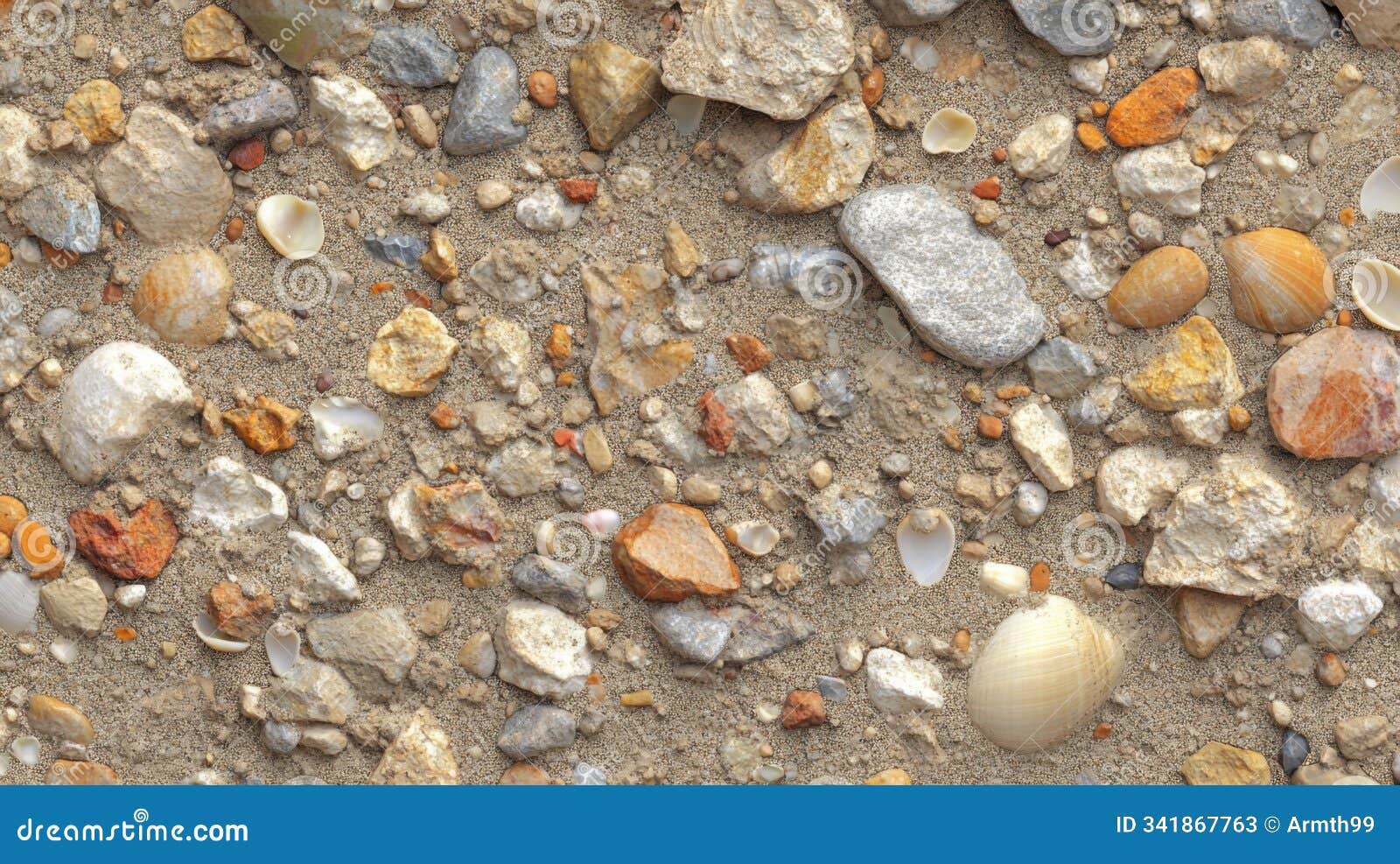 Pebble Strewn Sandy Beach Texture With Assorted Small Rocks And Shells ...