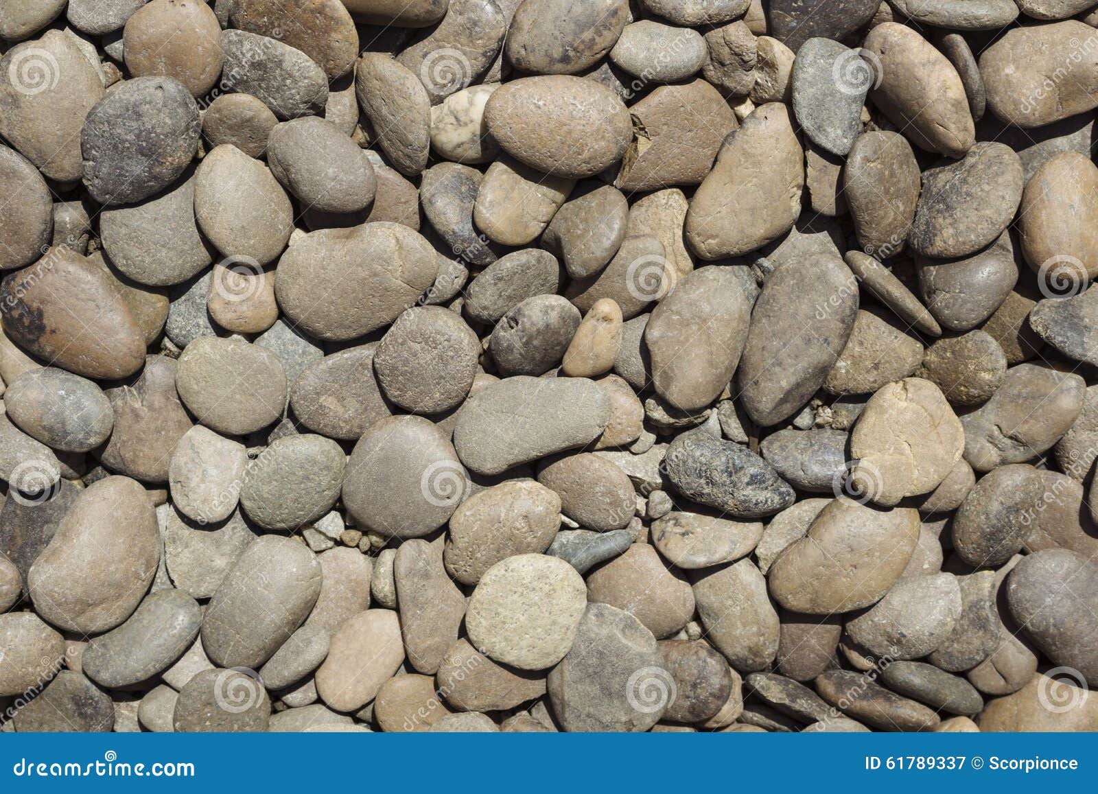 Pebble texture stock image. Image of nature, outdoors - 61789337