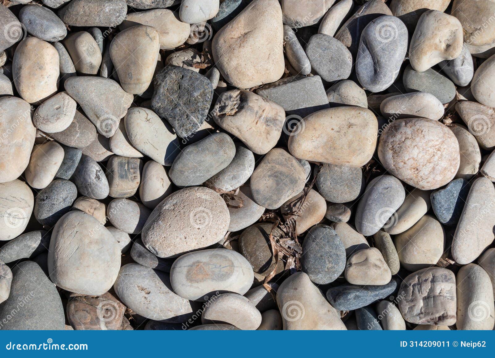 Pebble Texture. Textured Background of Pebbles Close-up Stock Image ...