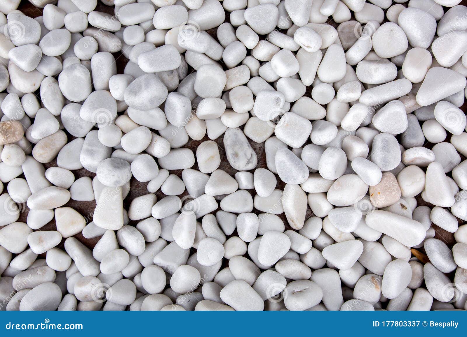 Pebble Texture White Smooth Round Stone. Stock Image - Image of granite ...