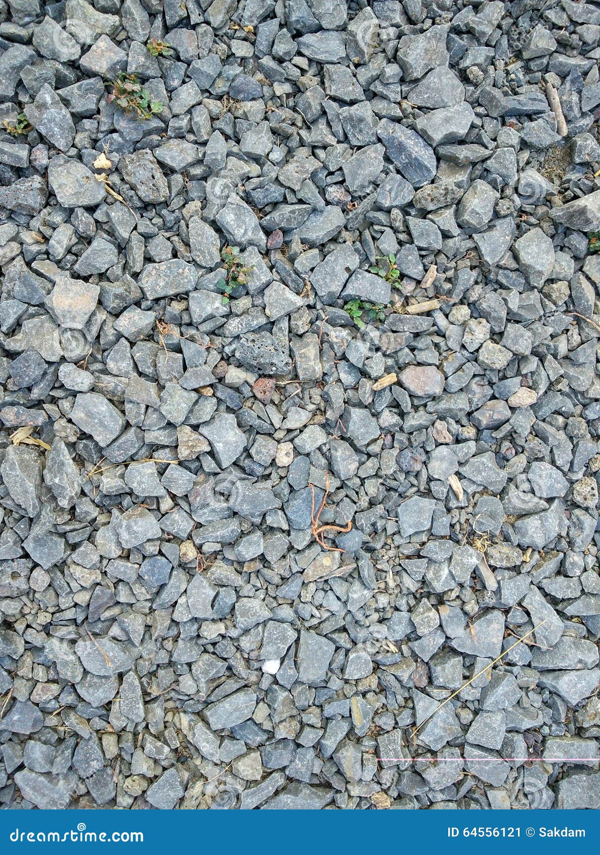 Pebble on th road stock image. Image of shingle, grit - 64556121