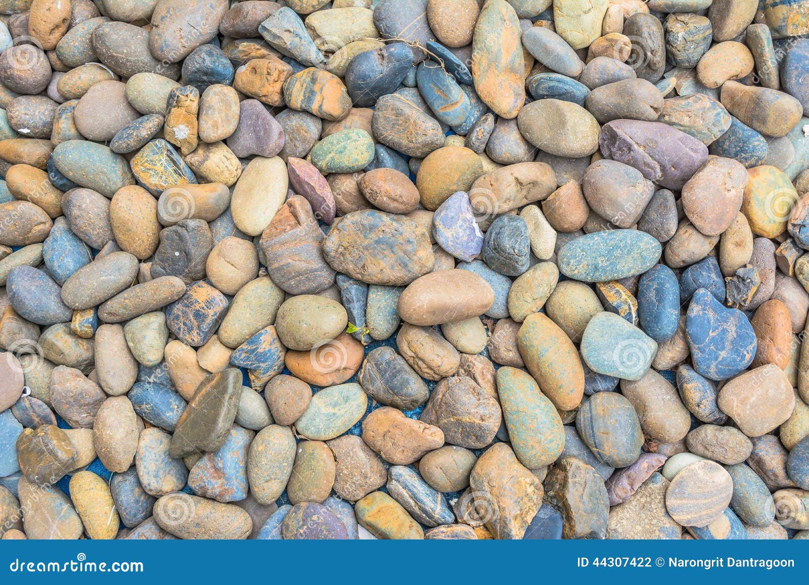 Pebble stock photo. Image of coastline, brown, pattern - 44307422