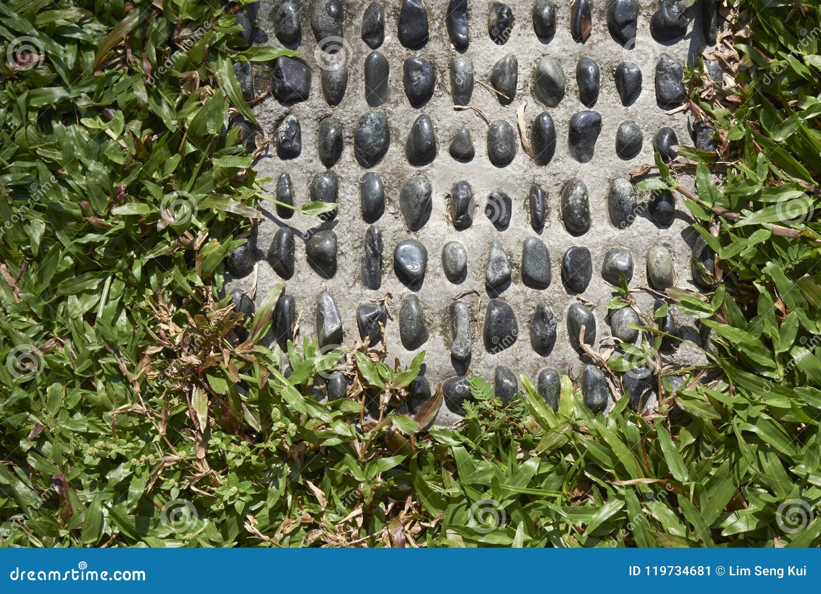 Pebble stock image. Image of natural, path, texture - 119734681