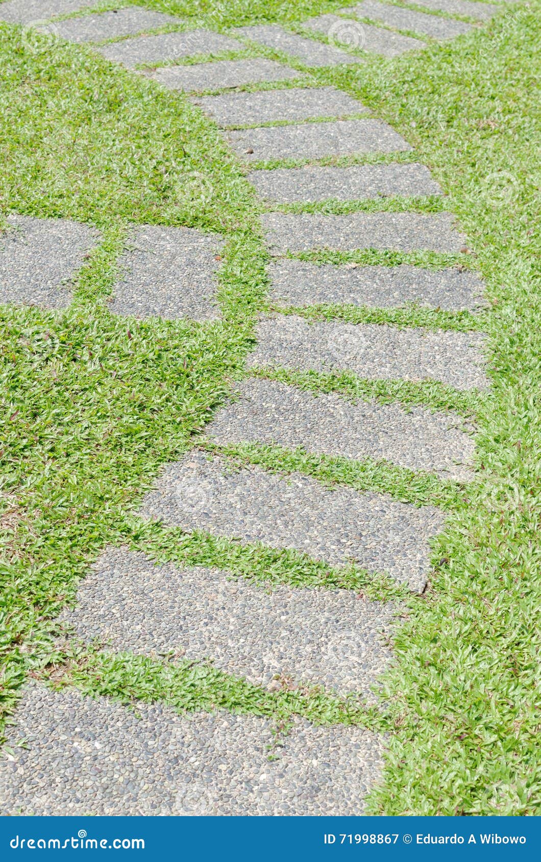 Pebble walk path stock image. Image of natural, outside - 71998867