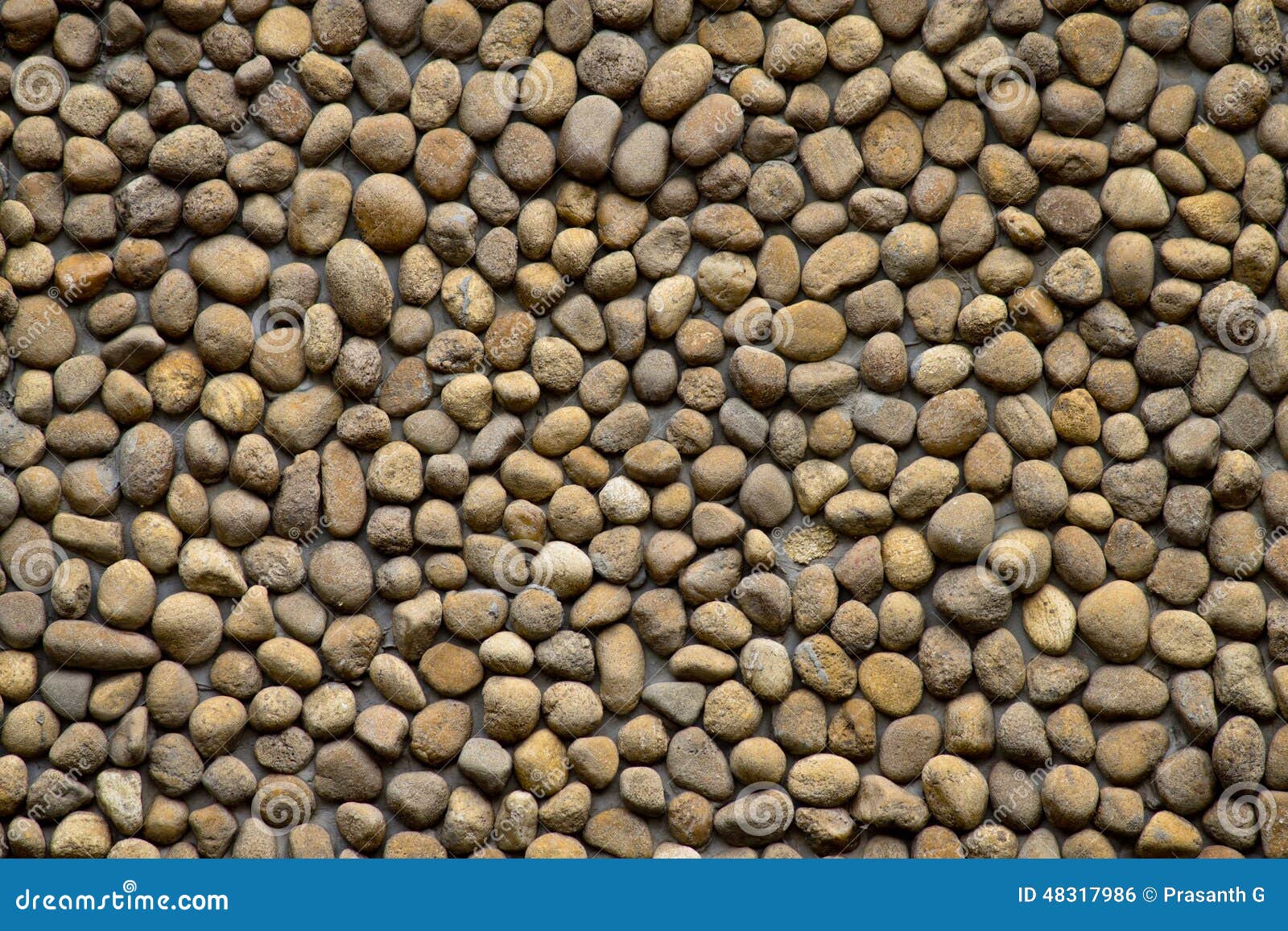 Pebble Wall Texture Royalty-Free Stock Image | CartoonDealer.com #48317986