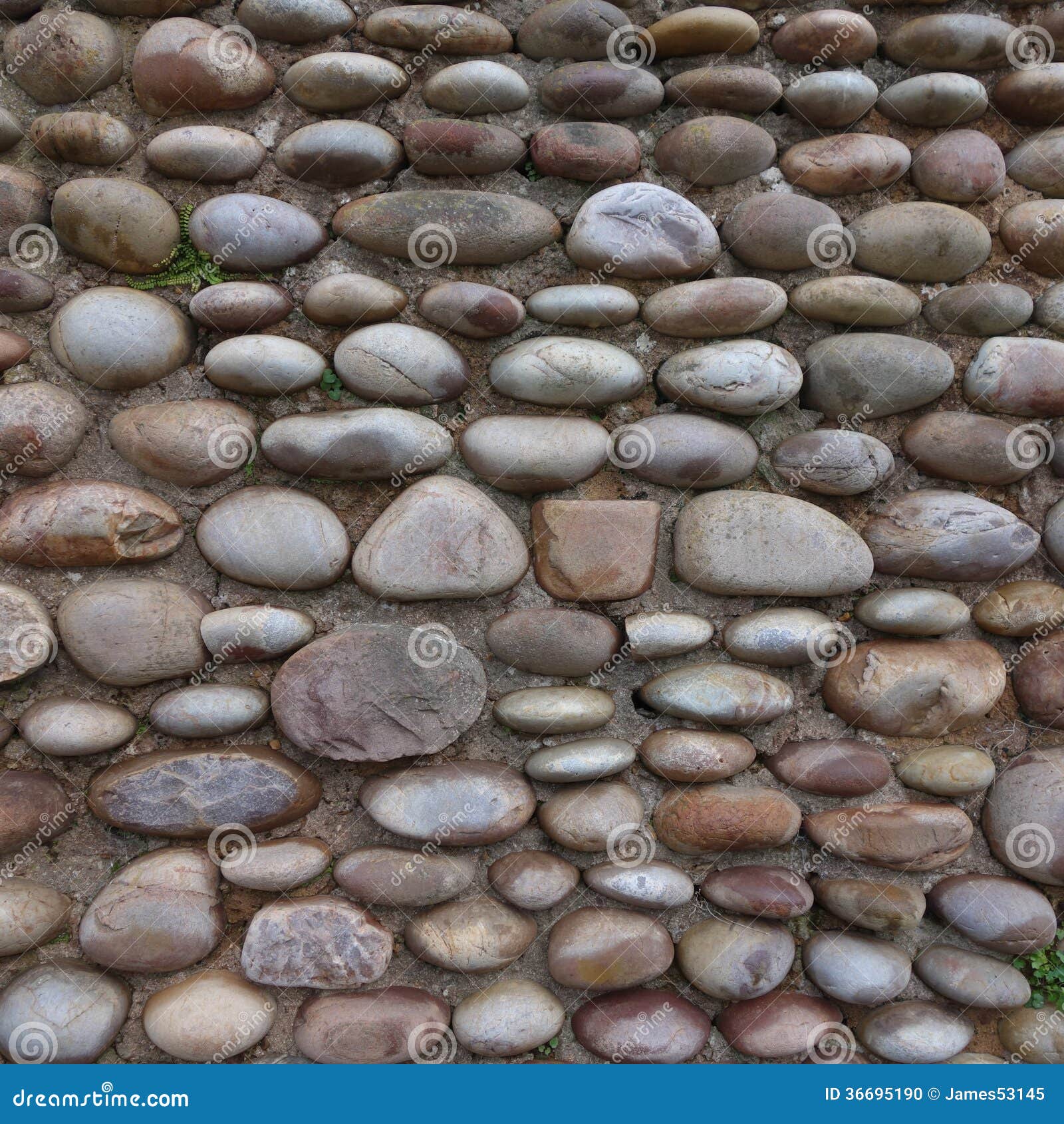 Pebble Wall stock photo. Image of texture, square, stones - 36695190