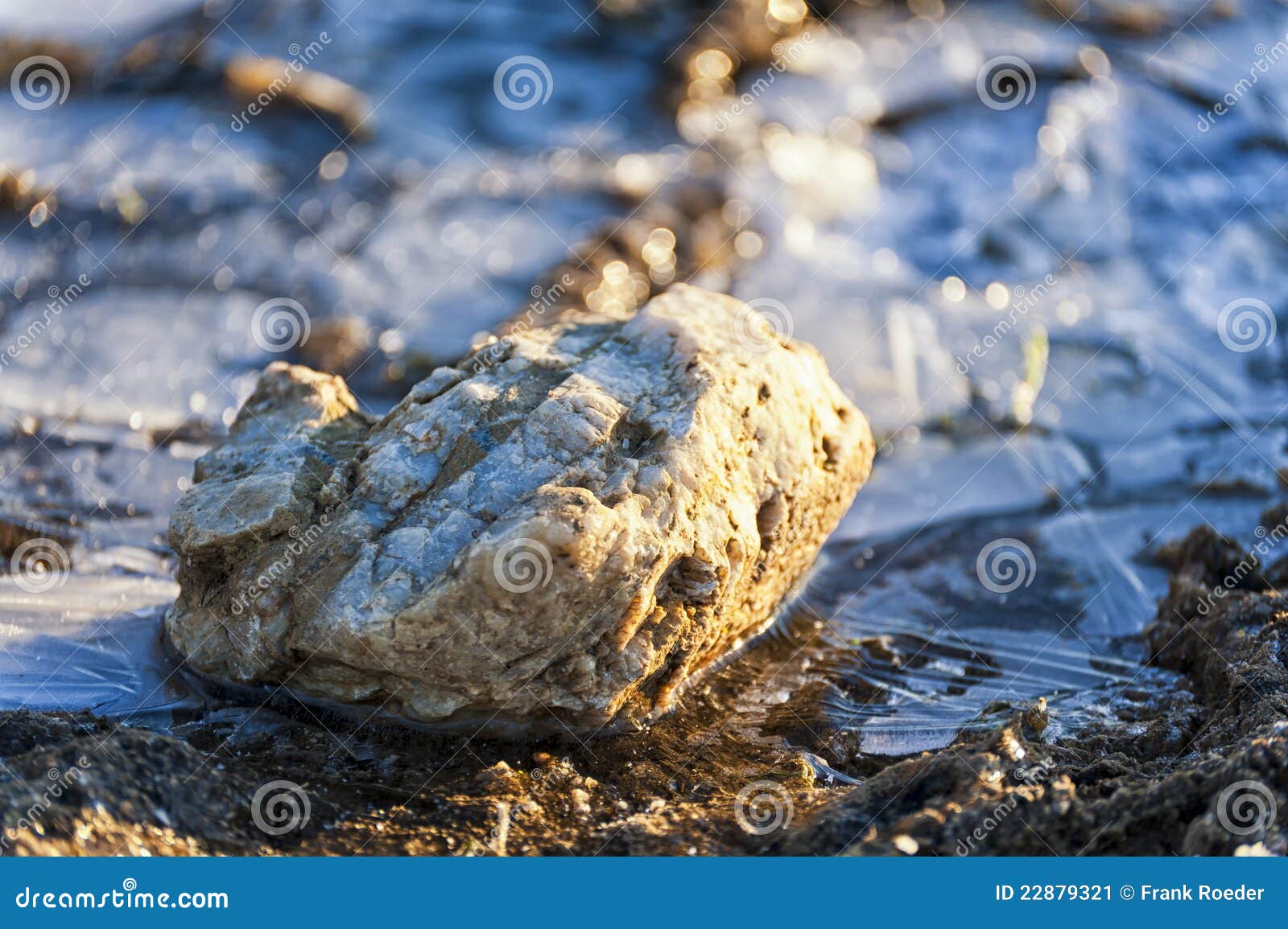 Pebble in the winter sun stock image. Image of frost - 22879321
