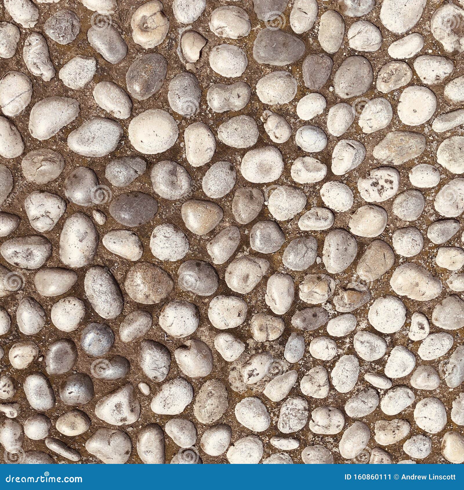 Pebbled path in close up stock image. Image of outdoor - 160860111