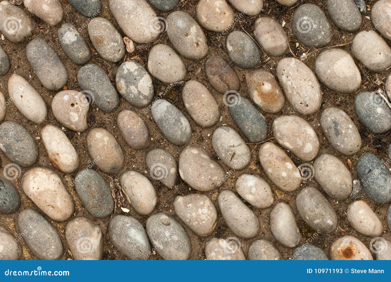 Pebbles stock image. Image of backgrounds, detail, textures - 10971193