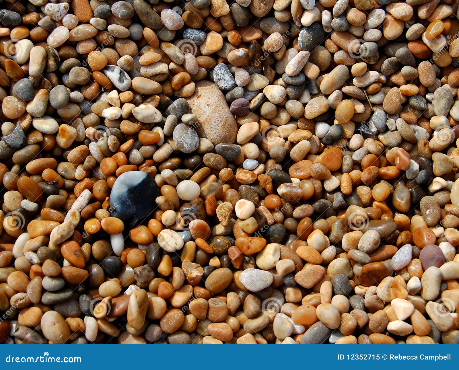 Pebbles stock image. Image of bhuddist, gravel, beach - 12352715