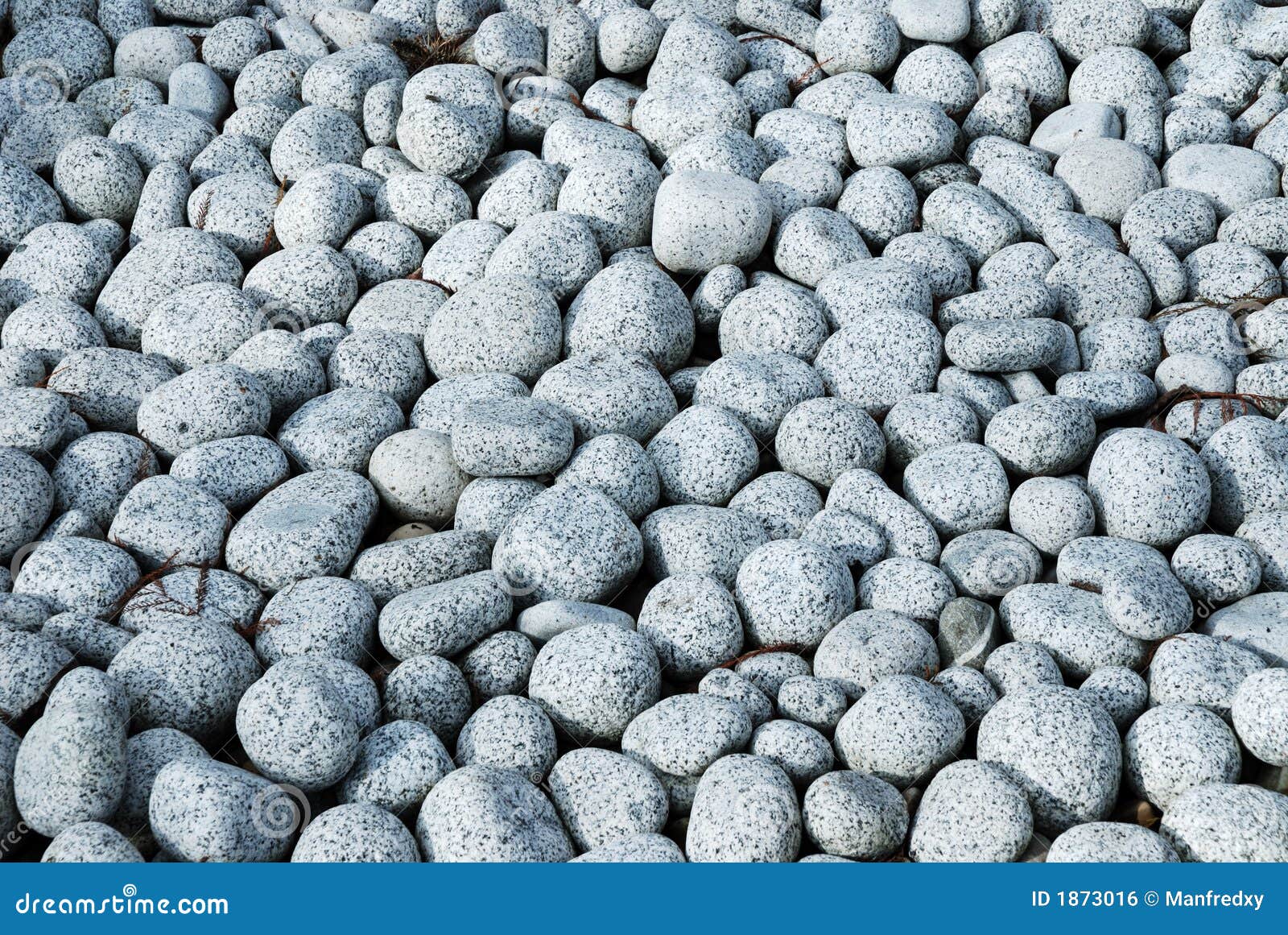 Pebbles stock photo. Image of round, spotted, small, pebbles - 1873016
