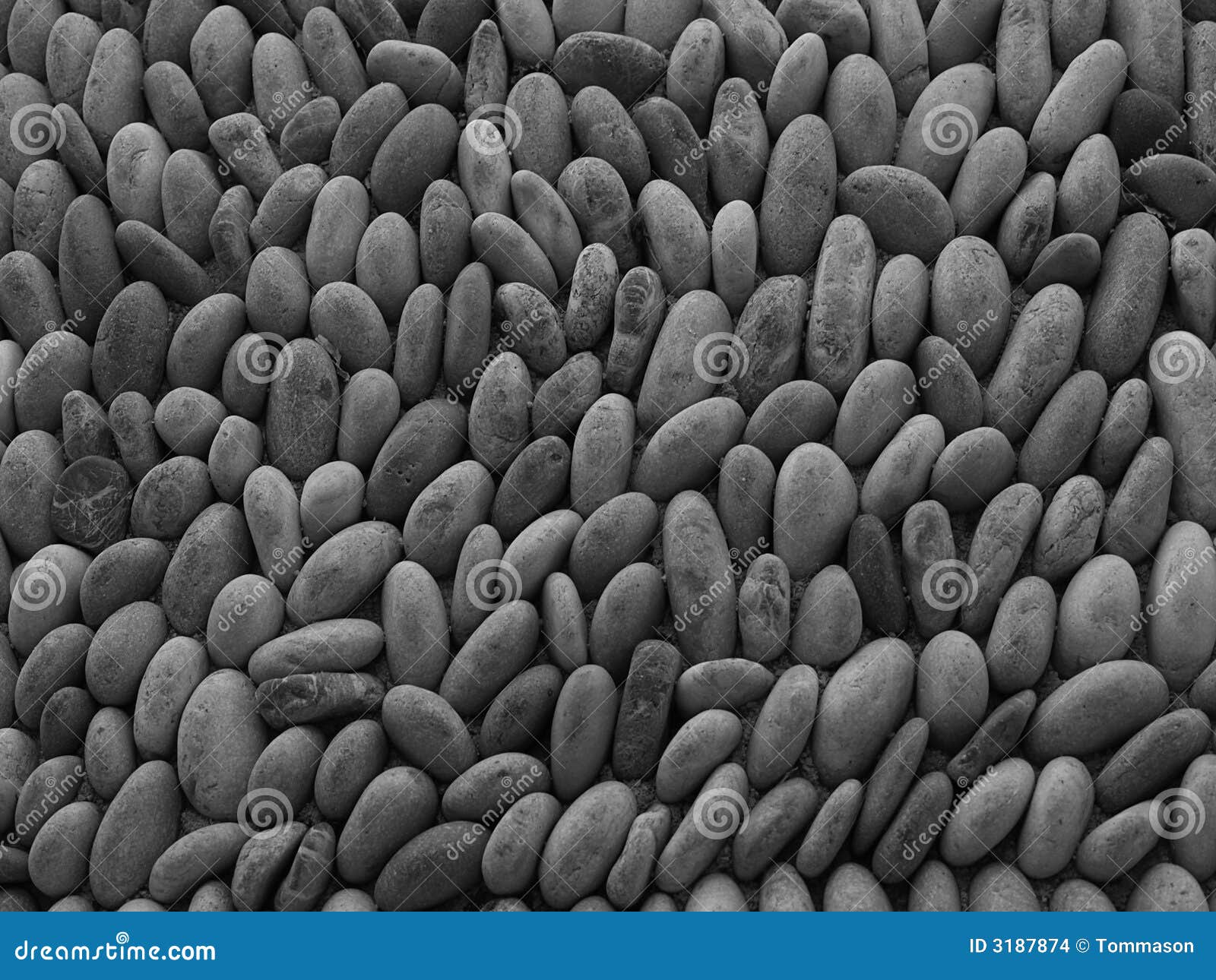 Pebbles stock photo. Image of oval, geology, smooth, stones - 3187874