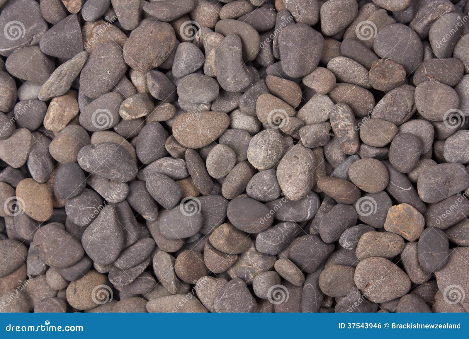 Pebbles stock photo. Image of shape, gravel, rocky, stone - 37543946