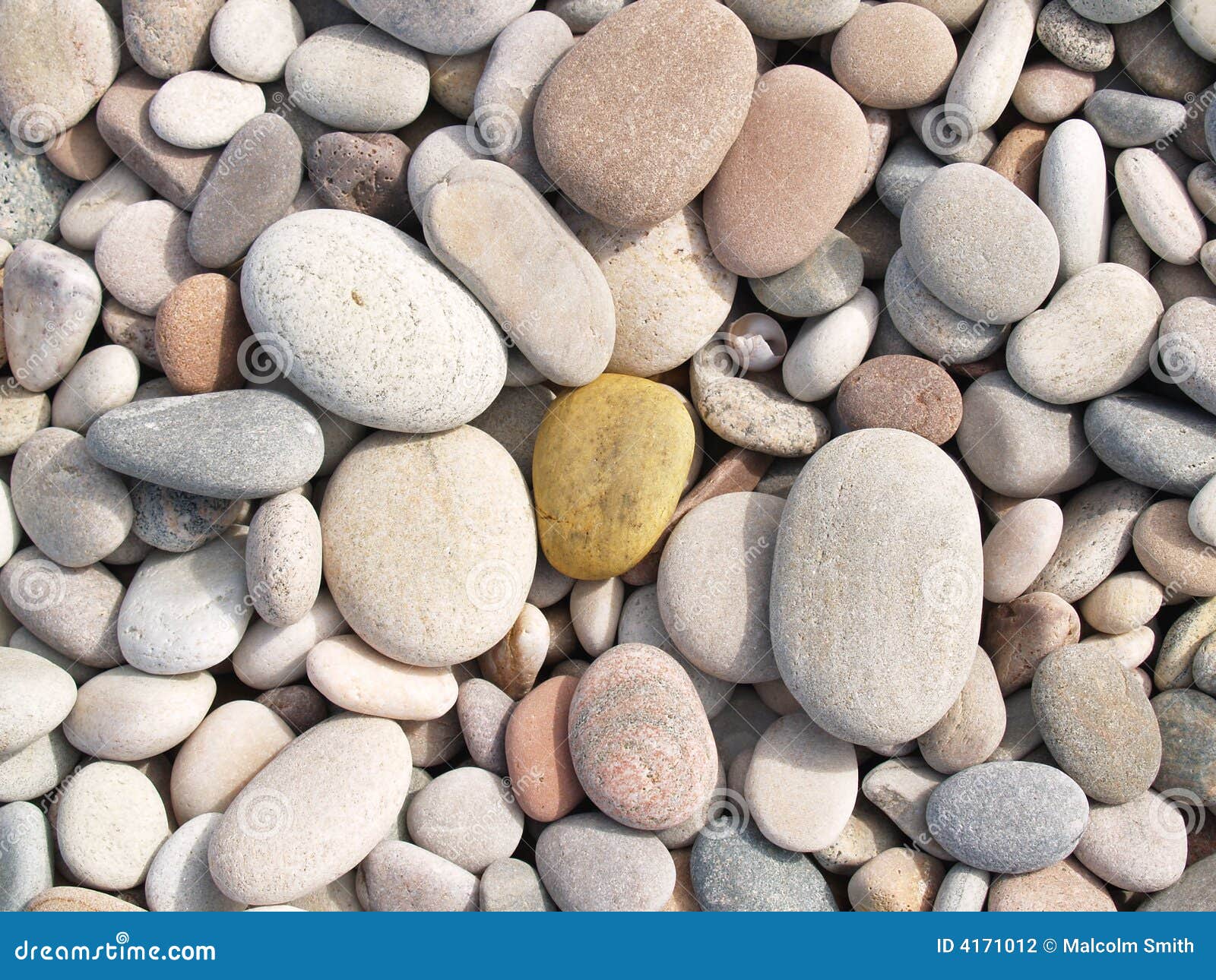Pebbles stock photo. Image of stony, geologic, erosion - 4171012