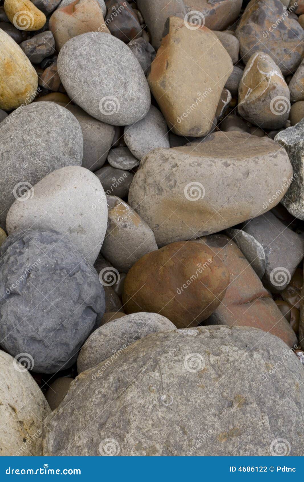 Pebbles stock photo. Image of patterns, stones, variety - 4686122