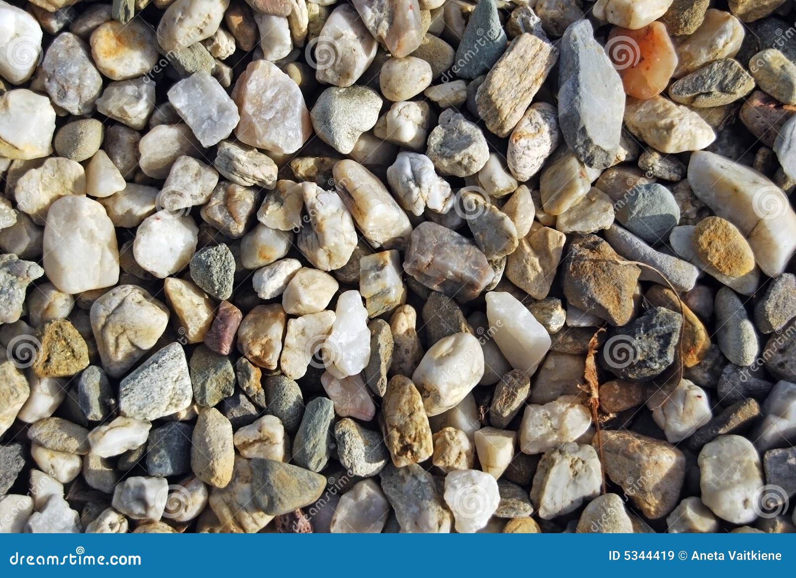 Pebbles stock image. Image of summer, peace, pebbles, close - 5344419