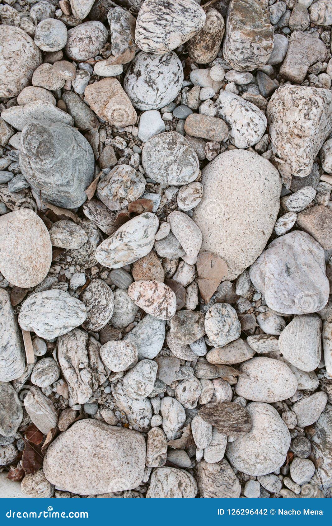 Pebbles Background. Close Up View of River Stones Texture and ...