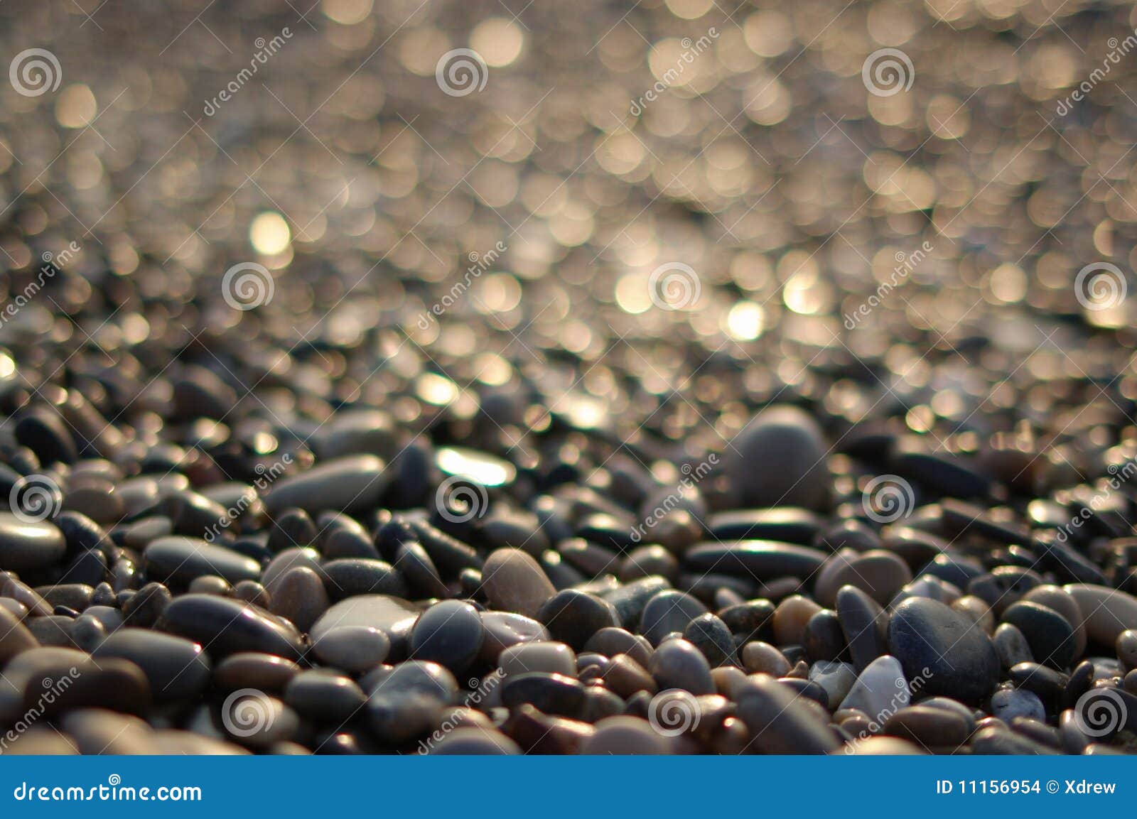 Pebbles on a beach stock photo. Image of morning, splash - 11156954