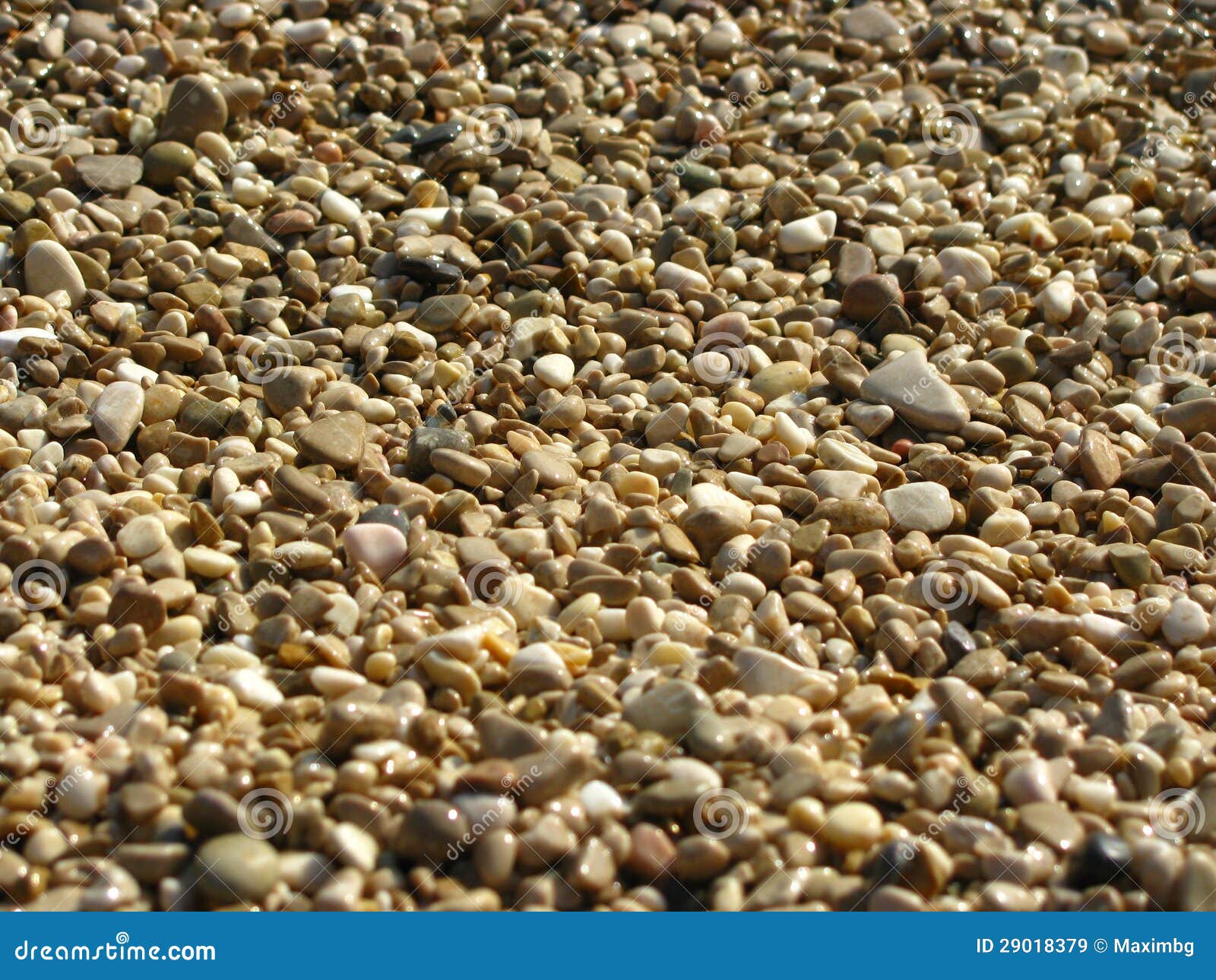 Pebbles on beach stock image. Image of summer, relax - 29018379