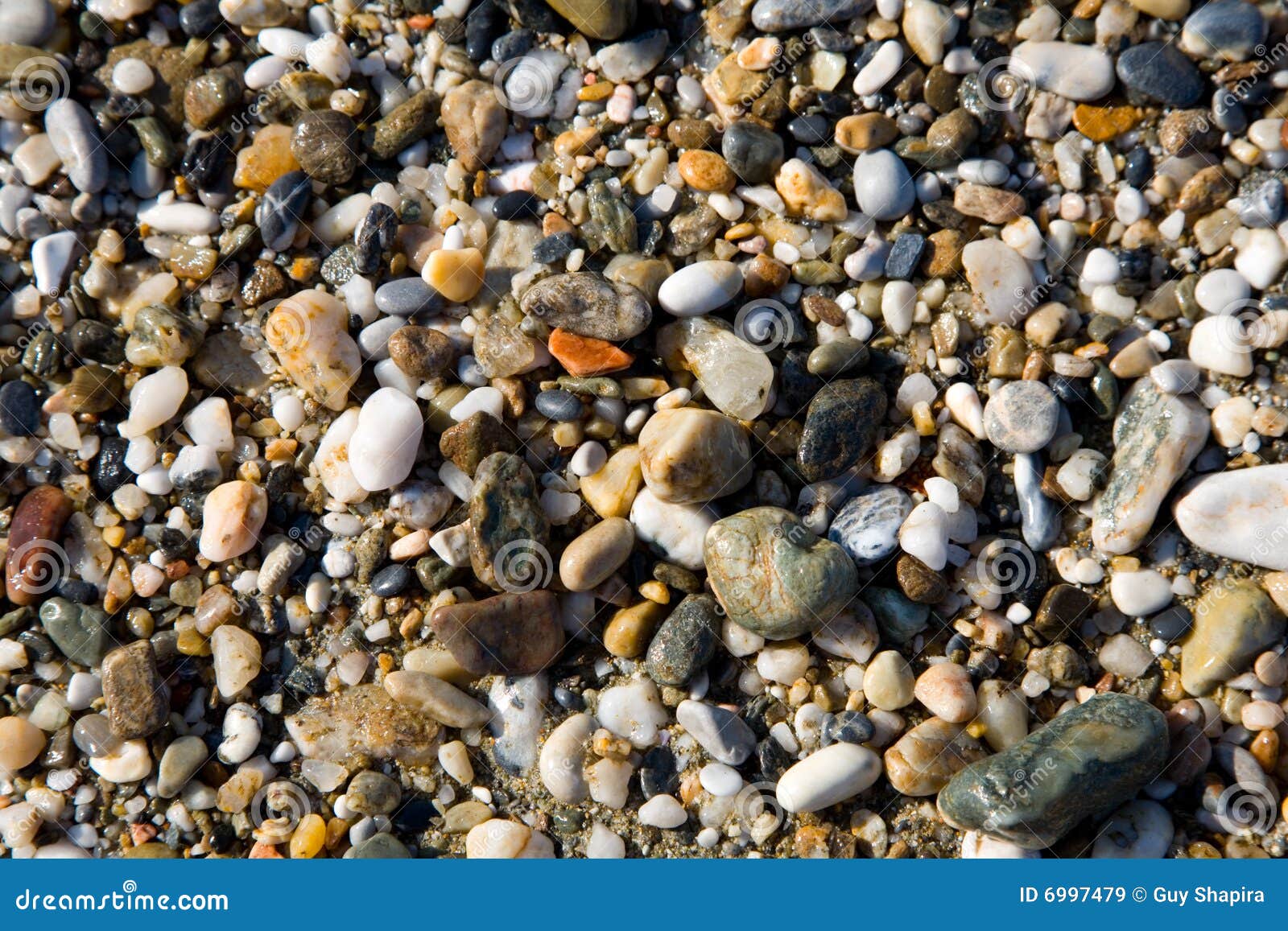 Pebbles on a beach stock image. Image of beach, black - 6997479