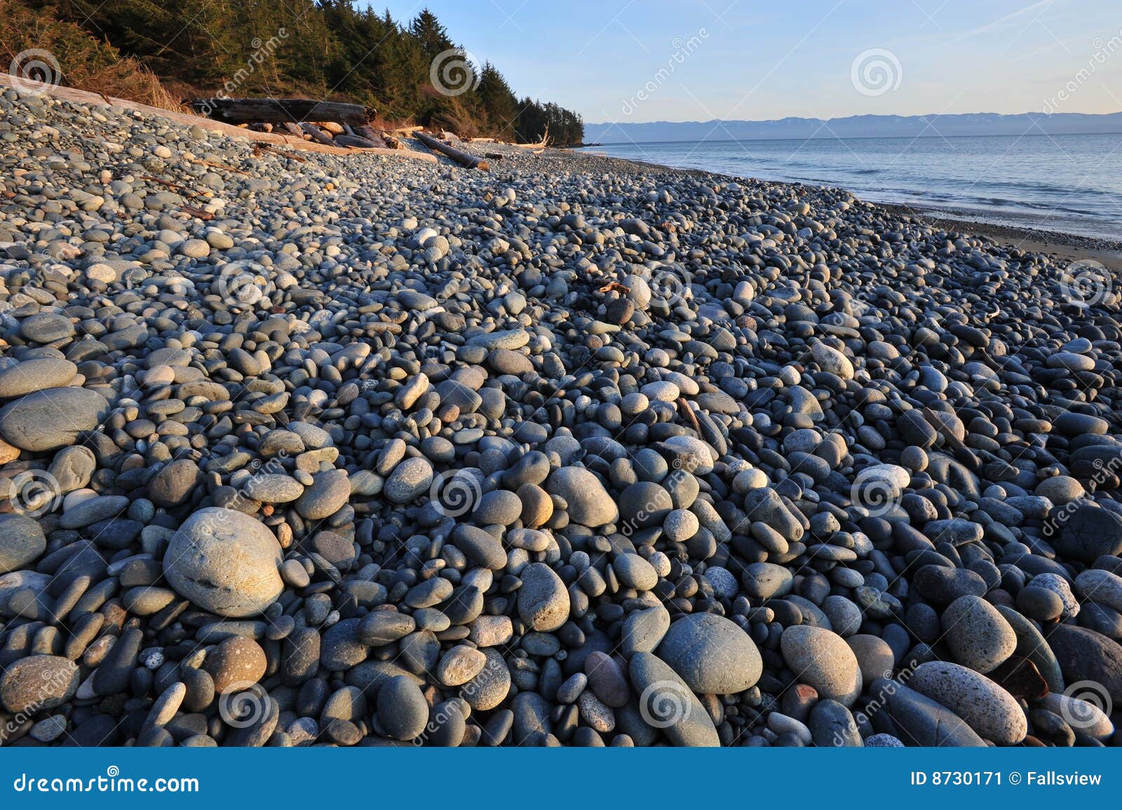 Pebbles on beach stock image. Image of columbia, british - 8730171