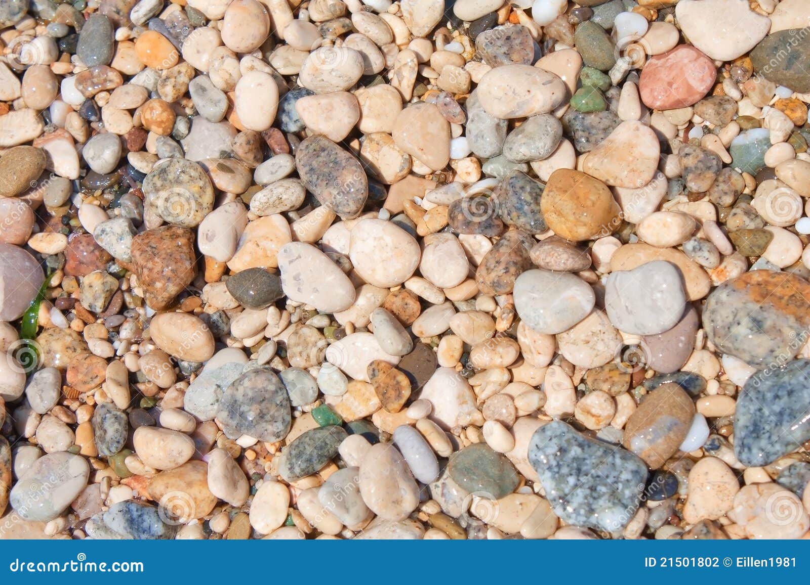 Pebbles on the Beach, Close Stock Photo - Image of pattern, outdoors ...