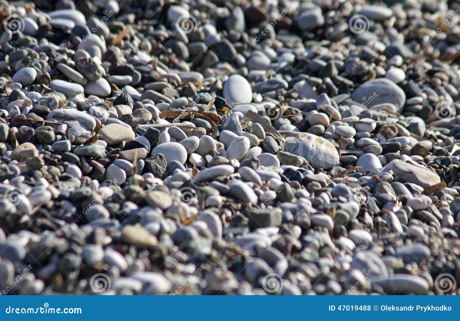 Pebbles on the beach stock photo. Image of natural, gravel - 47019488
