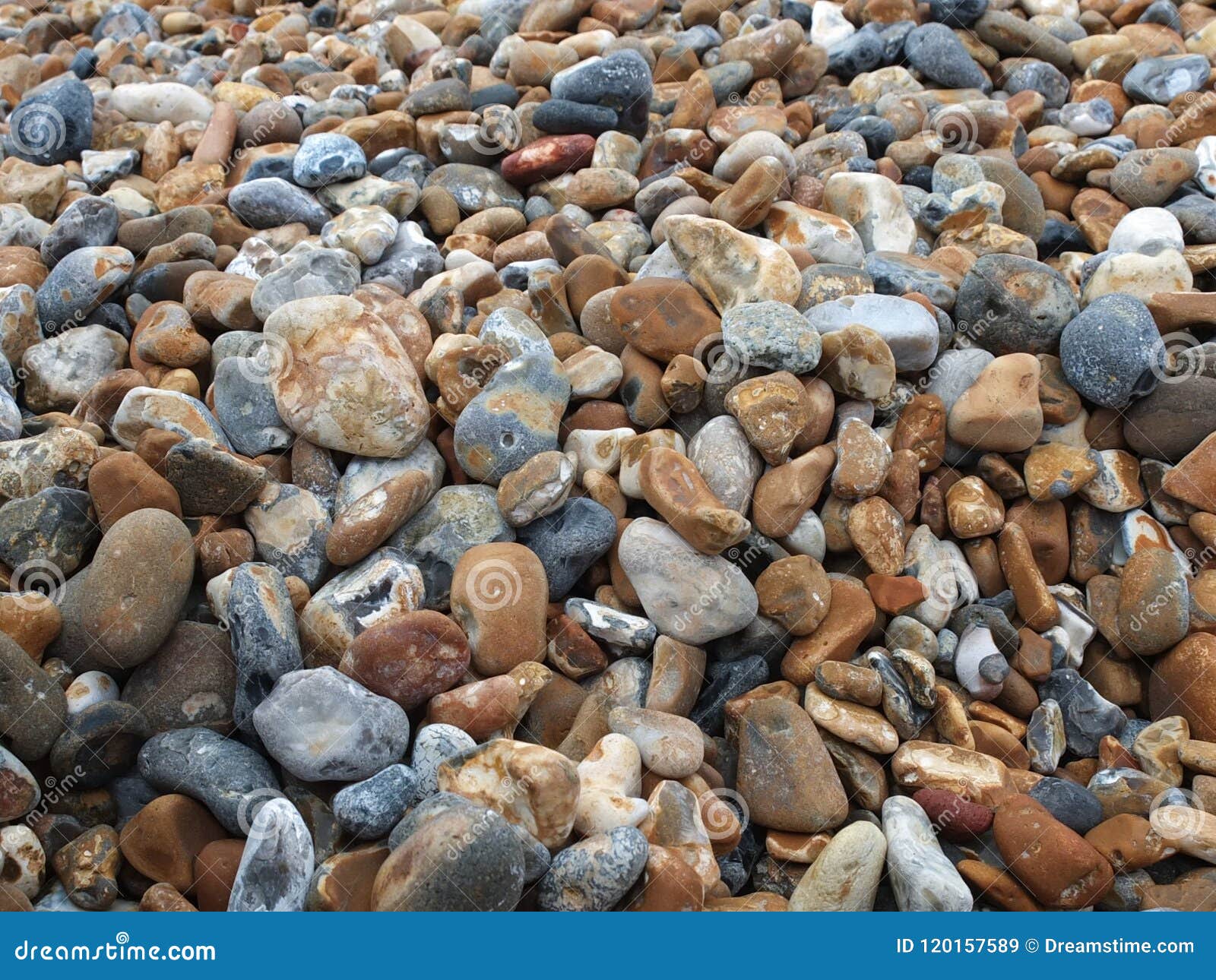 Pebbles at beach stock image. Image of shingle, gravel - 120157589