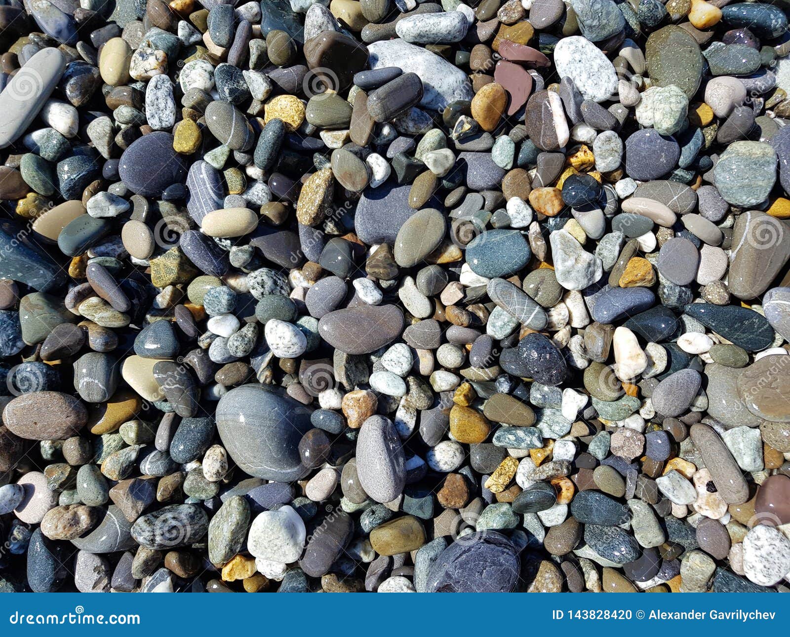 Pebbles on the Beach, Rubble on the Seashore, Top View Stock Photo ...