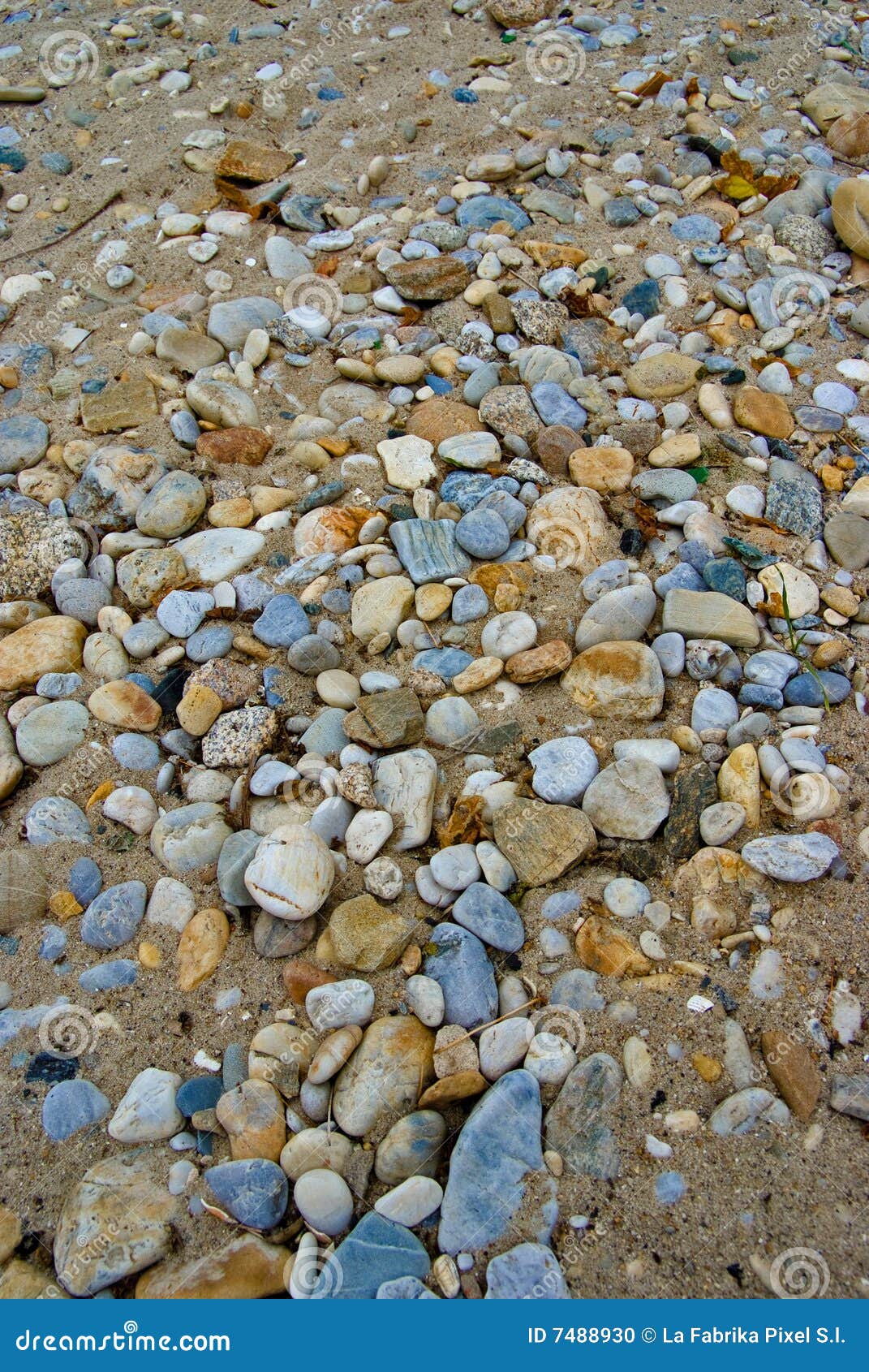 Pebbles on the beach sand stock photo. Image of nature - 7488930