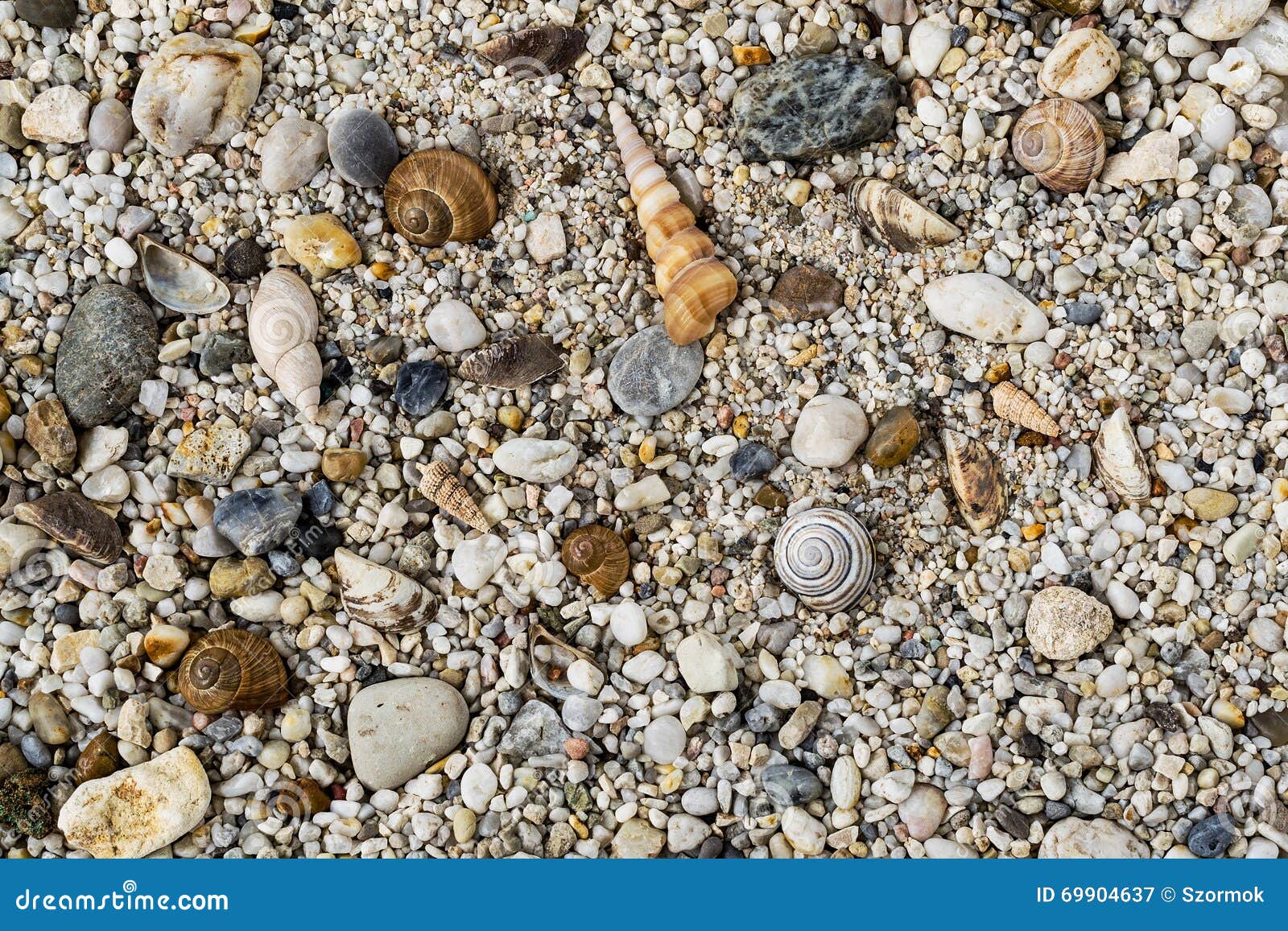 Pebbles on Beach with Shells Stock Image - Image of pebble, color: 69904637