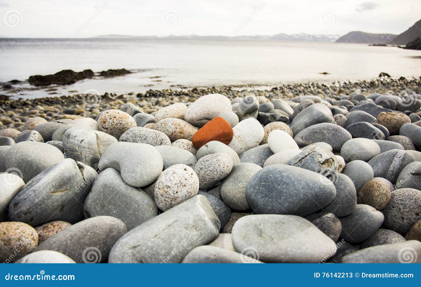 Pebbles on the beach stock image. Image of nature, multicolored - 76142213