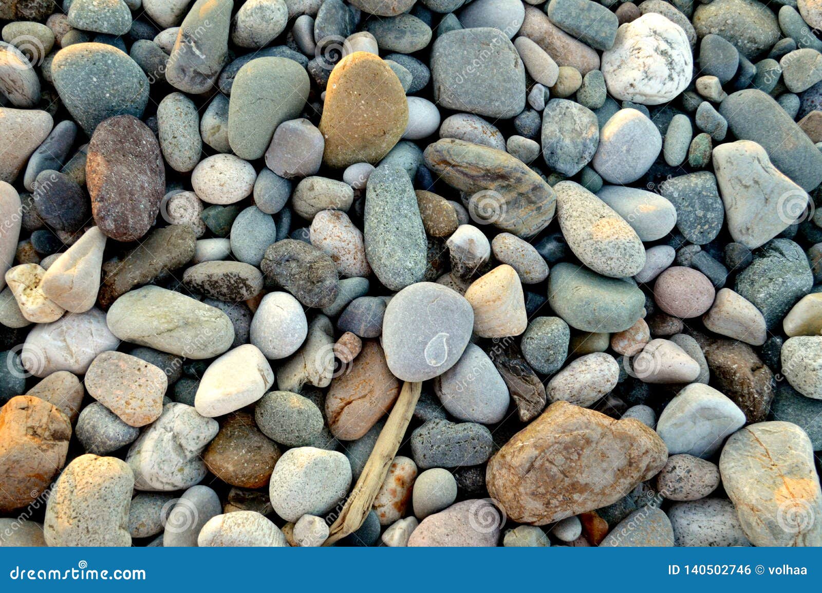 Pebbles on the beach stock photo. Image of group, cobblestone - 140502746