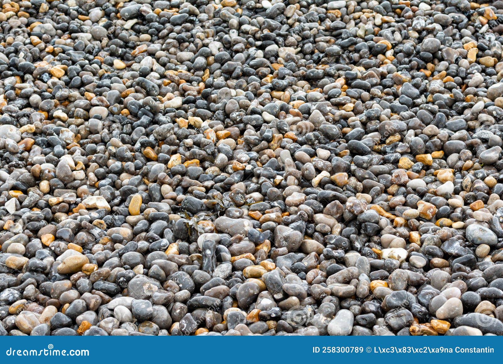Pebbles on a beach stock image. Image of rolled, pebble - 258300789